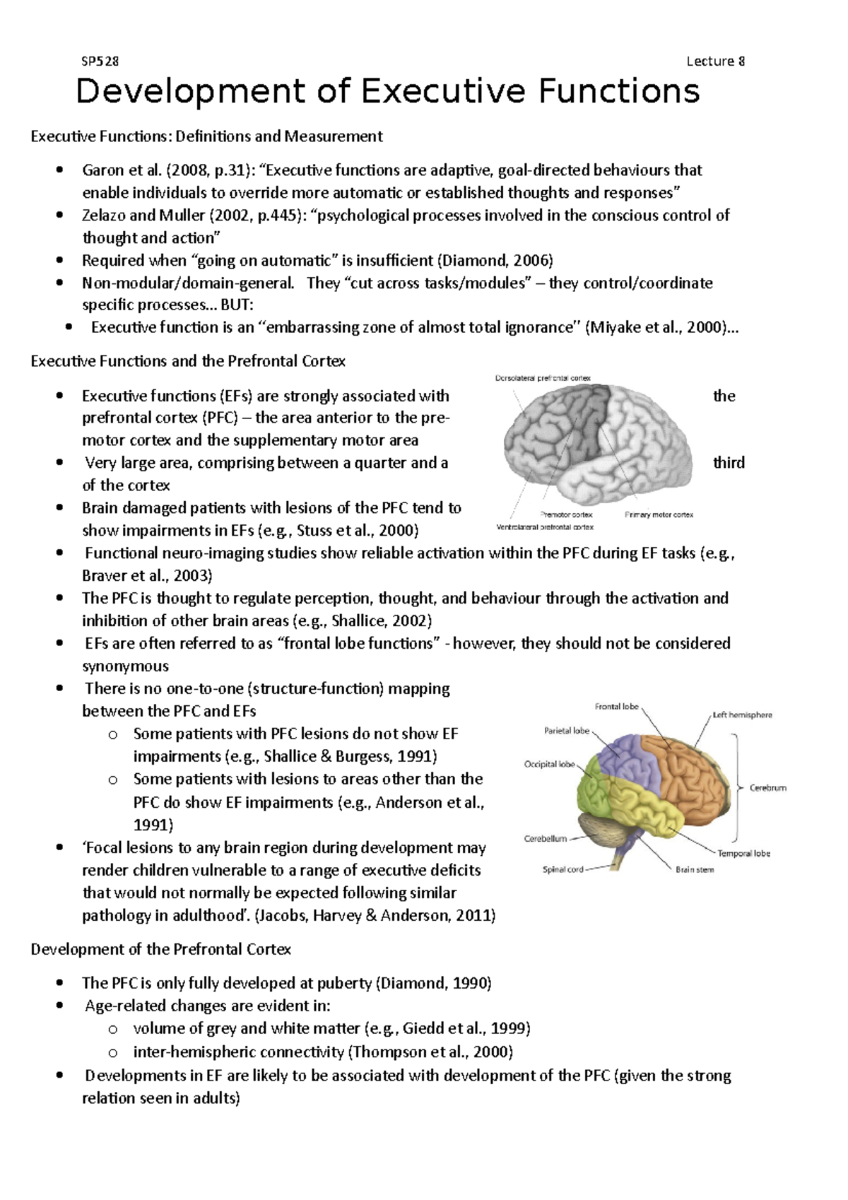 Lecture 9 - Development of Execuitve Functions - Development of ...