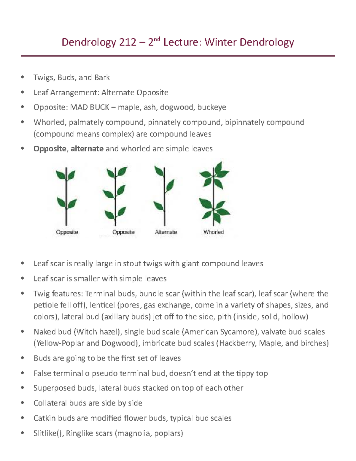 Dendrology 212 - Lecture notes 1 - Dendrology 212 2nd Lecture: Winter ...