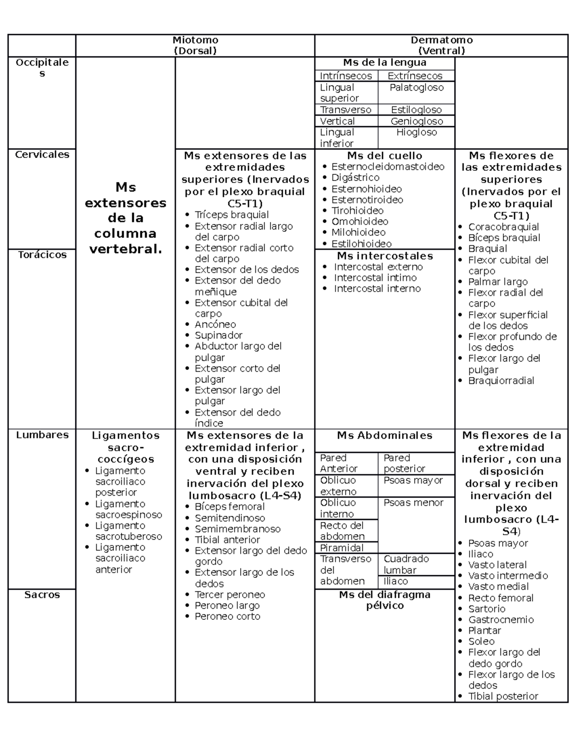 Miotomo - Resumen Embriología Básica - Miotomo (Dorsal) Occipitale s ...