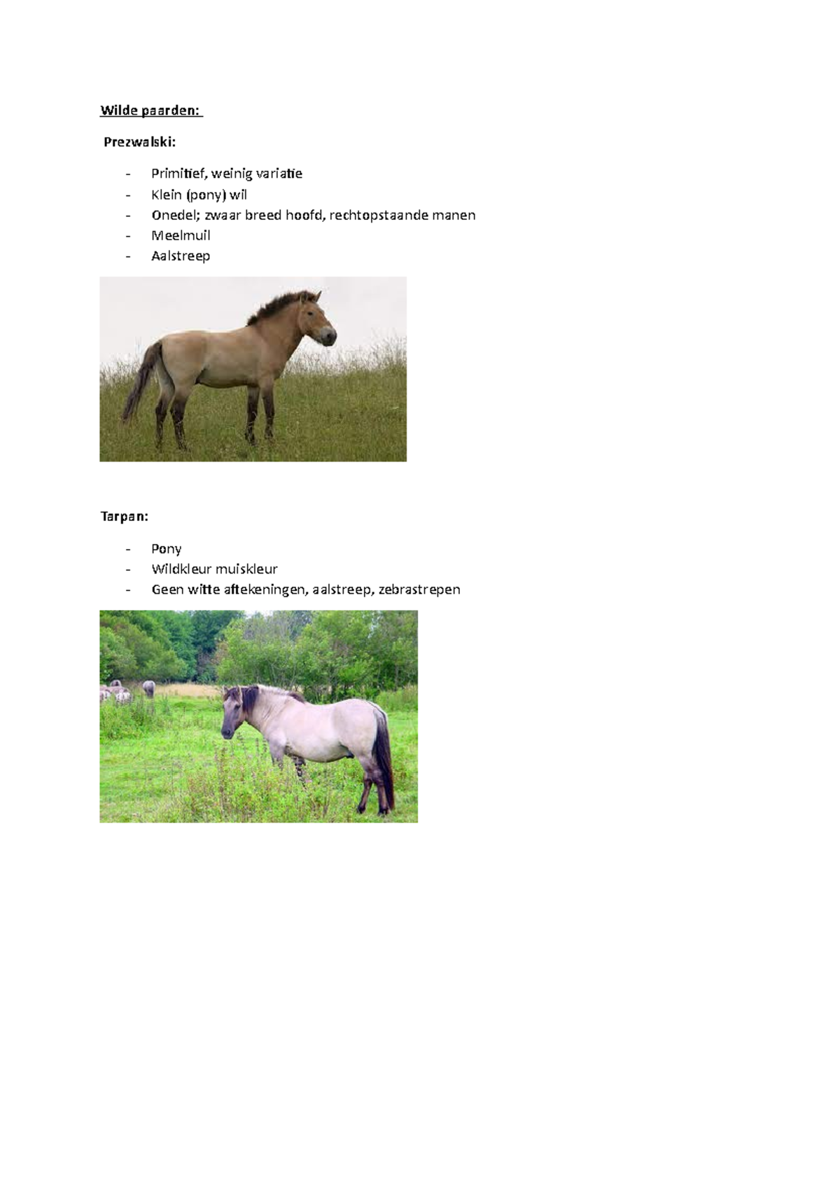 Paard 7 - rassen - Wilde paarden: Prezwalski: - Primitief, weinig ...