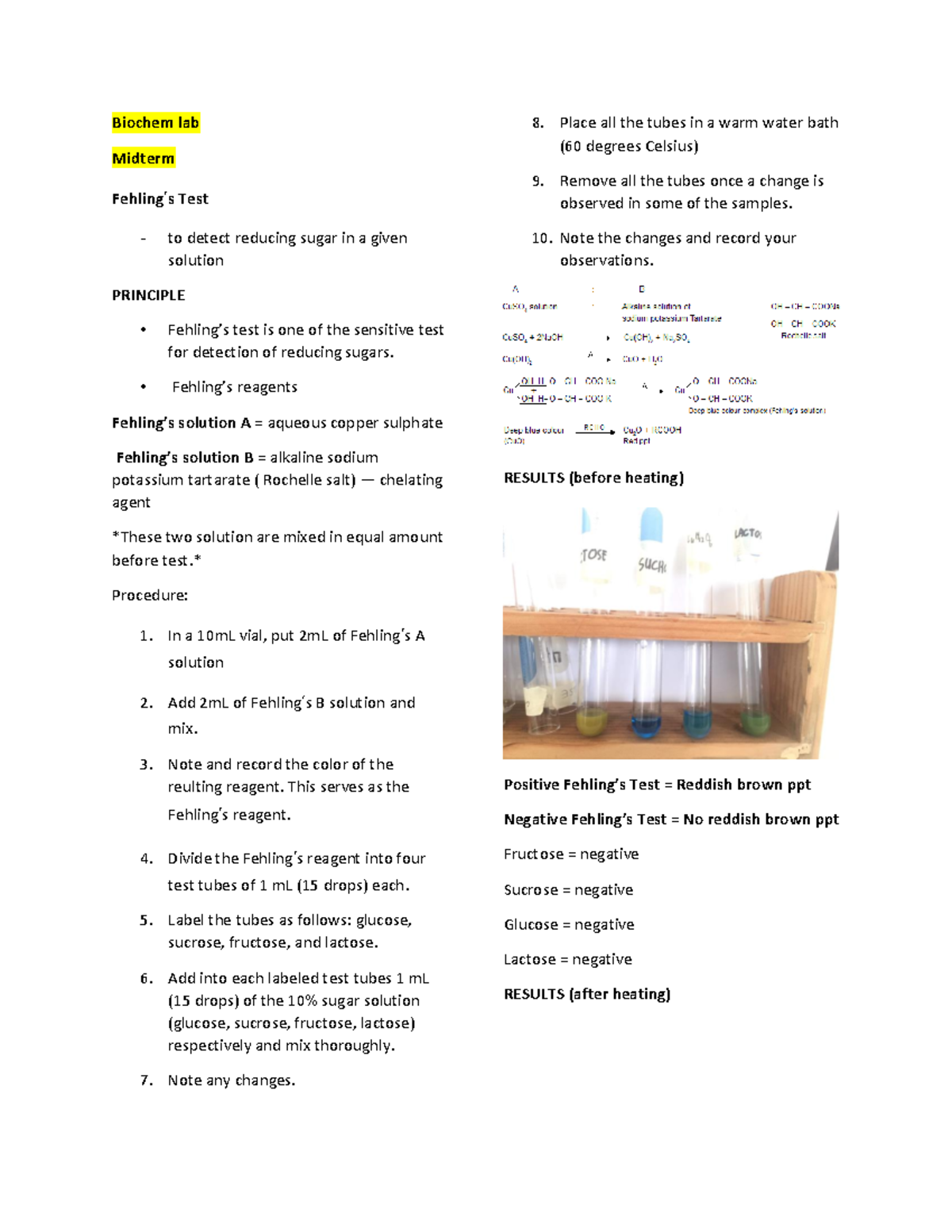 Biochem Labbb Lab Notes Warning Tt Undefined Function 5 Warning Tt Undefined Function