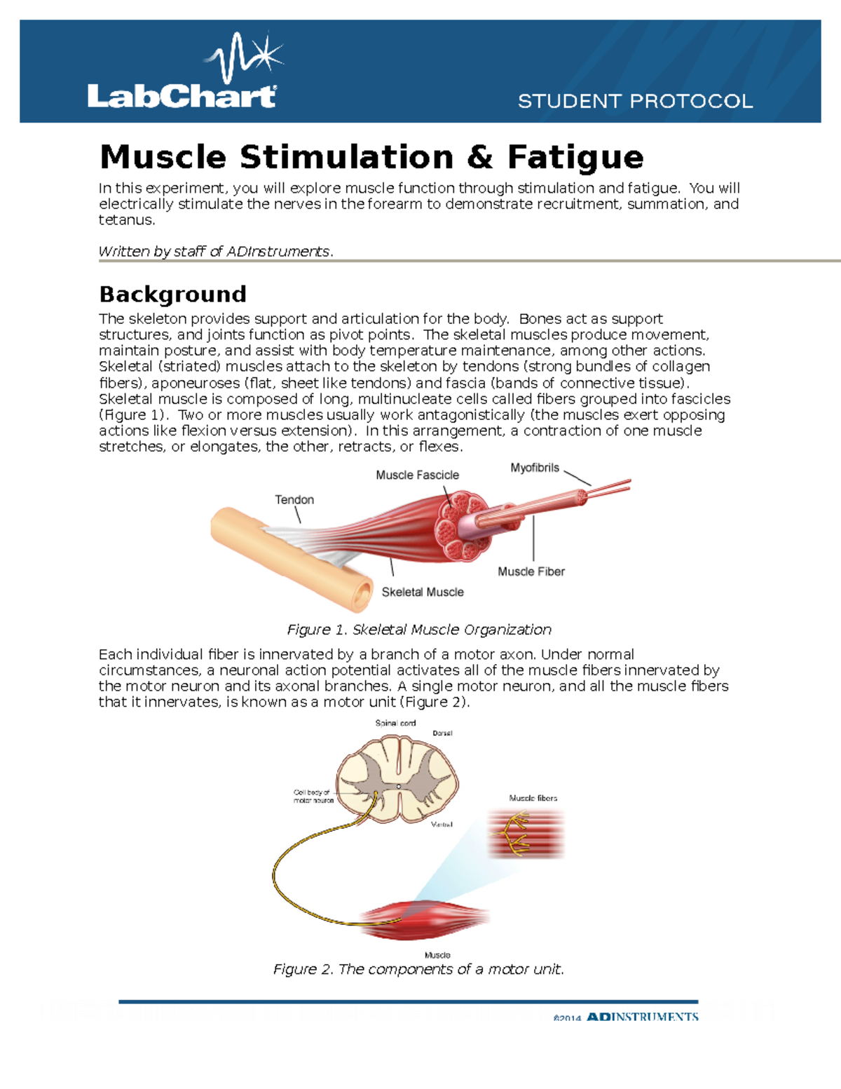 Lab 2 - Muscle Stimulation Fatigue Student Protocol - Muscle ...