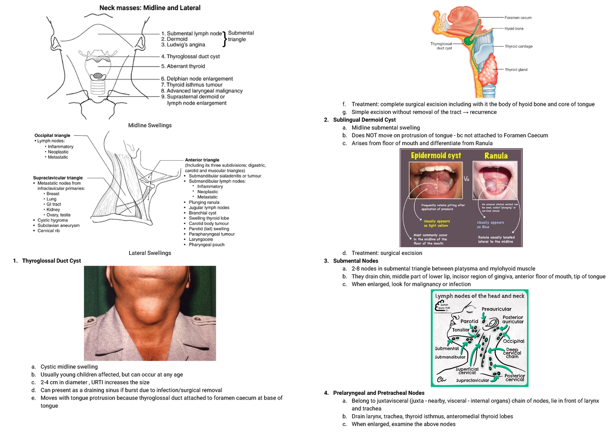 Neck Masses - Diseases of Ear, Nose and Throat - Neck masses: Midline ...