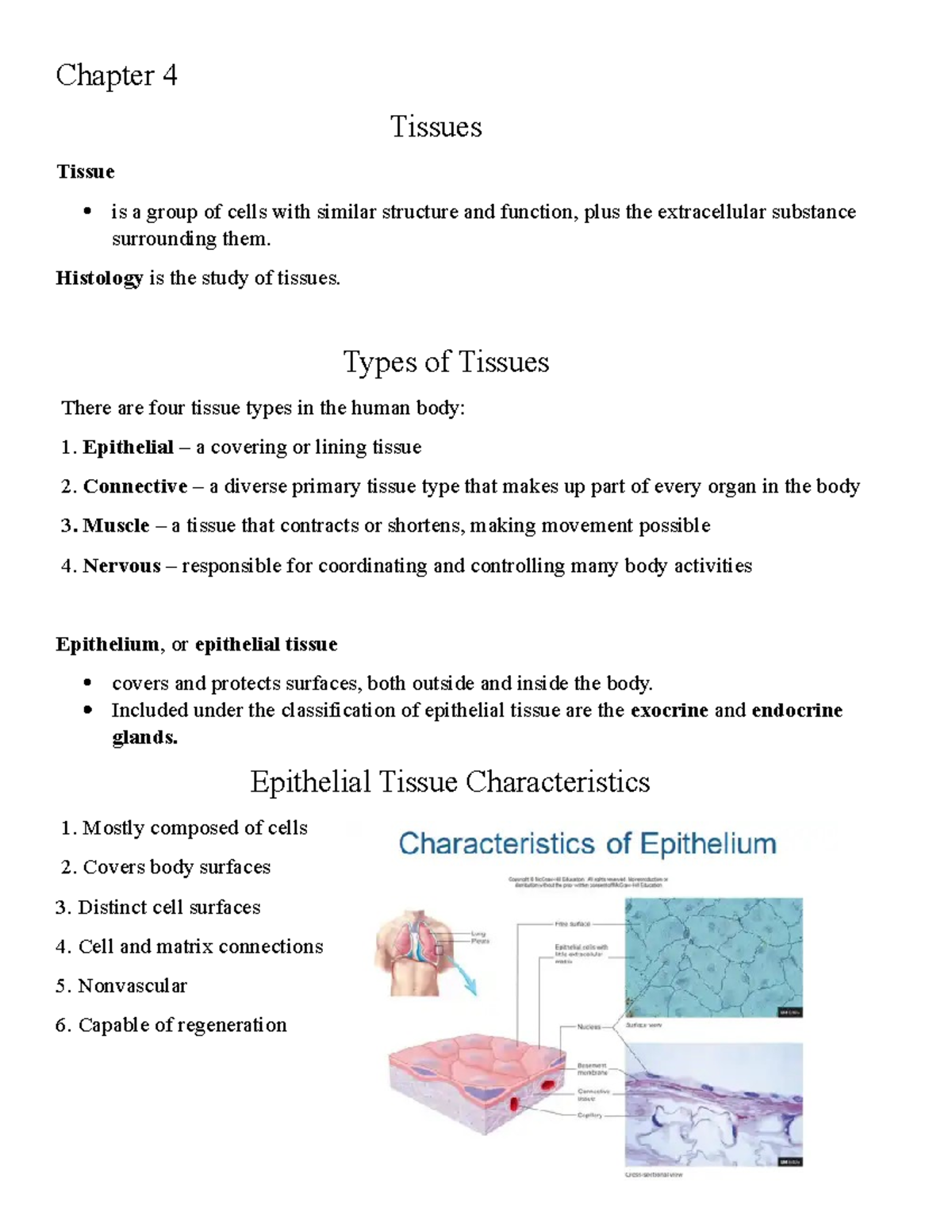 Chapter 4 ANAPHY - Chapter 4 Tissues Tissue is a group of cells with ...