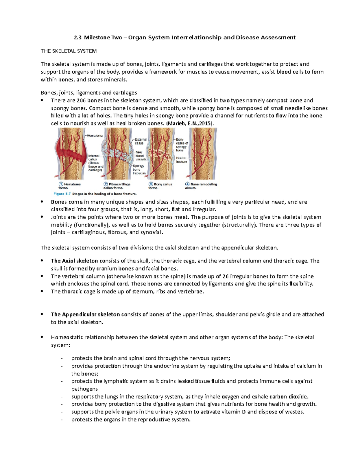 BIO 210 - Milestone Two - This assignment was to show the ...