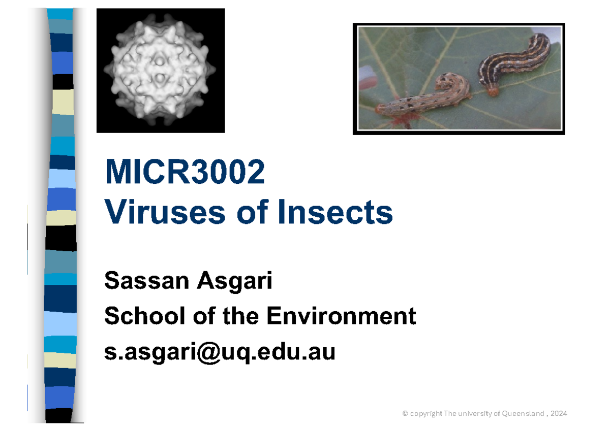 Insect Viruses-1-1pp - it just a slids - MICR Viruses of Insects Sassan ...