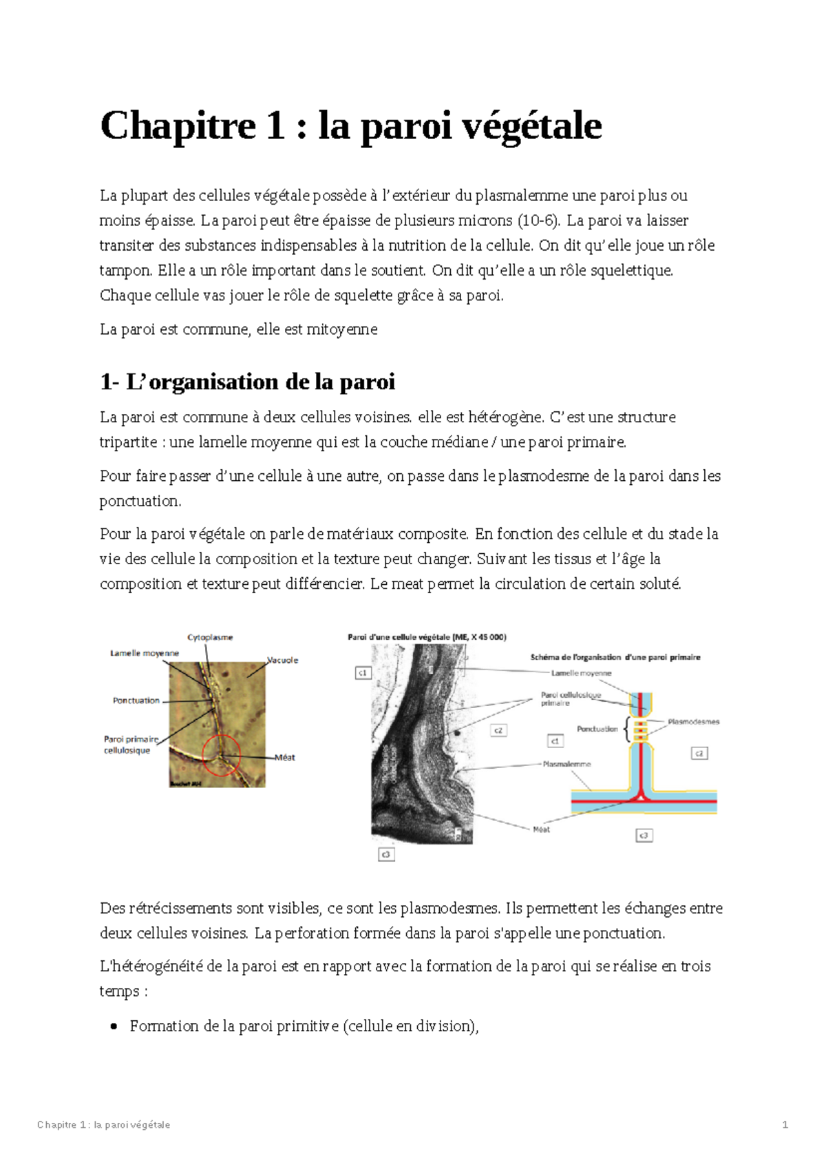Chapitre 1 la paroi végétale b8cfe91a4ed042bfb25be3e6d7f2bada ...