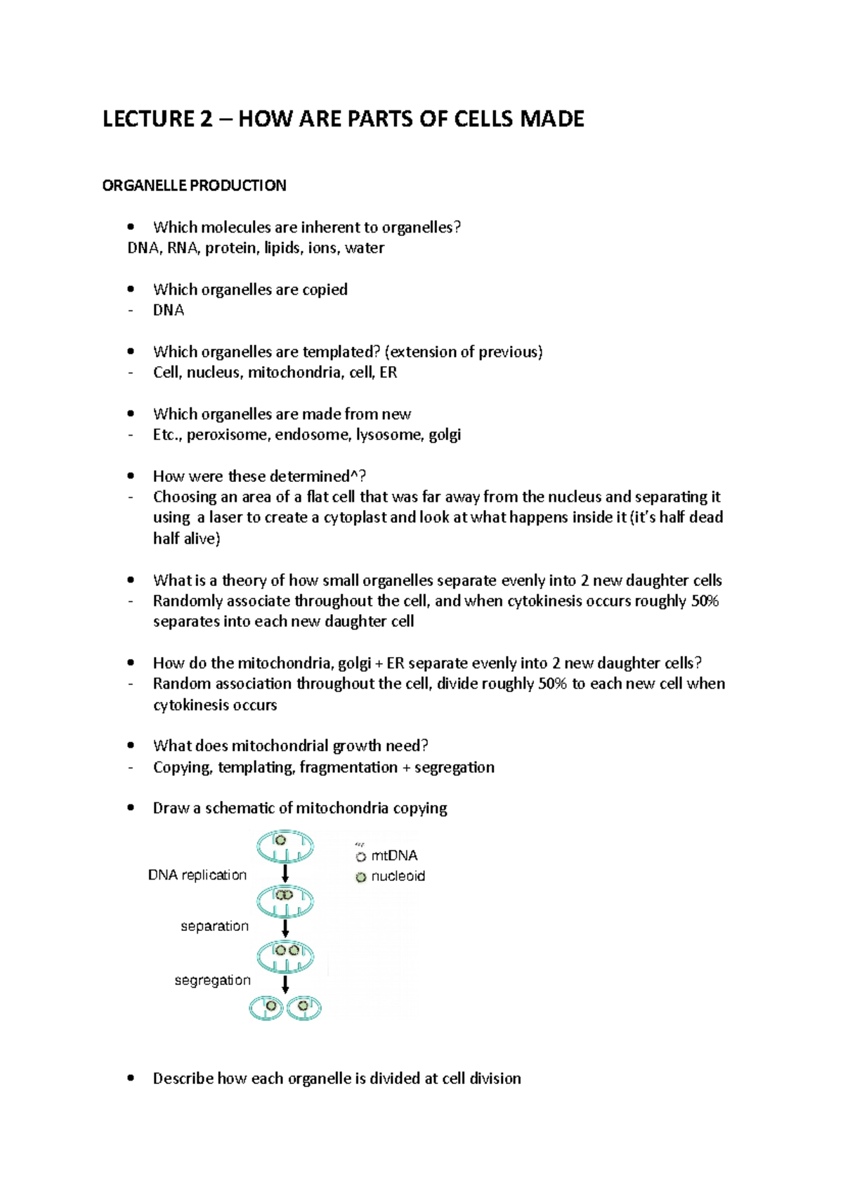 CELL0009 quizlets - Summary Integrative Cell Biology - LECTURE 2 – HOW ...
