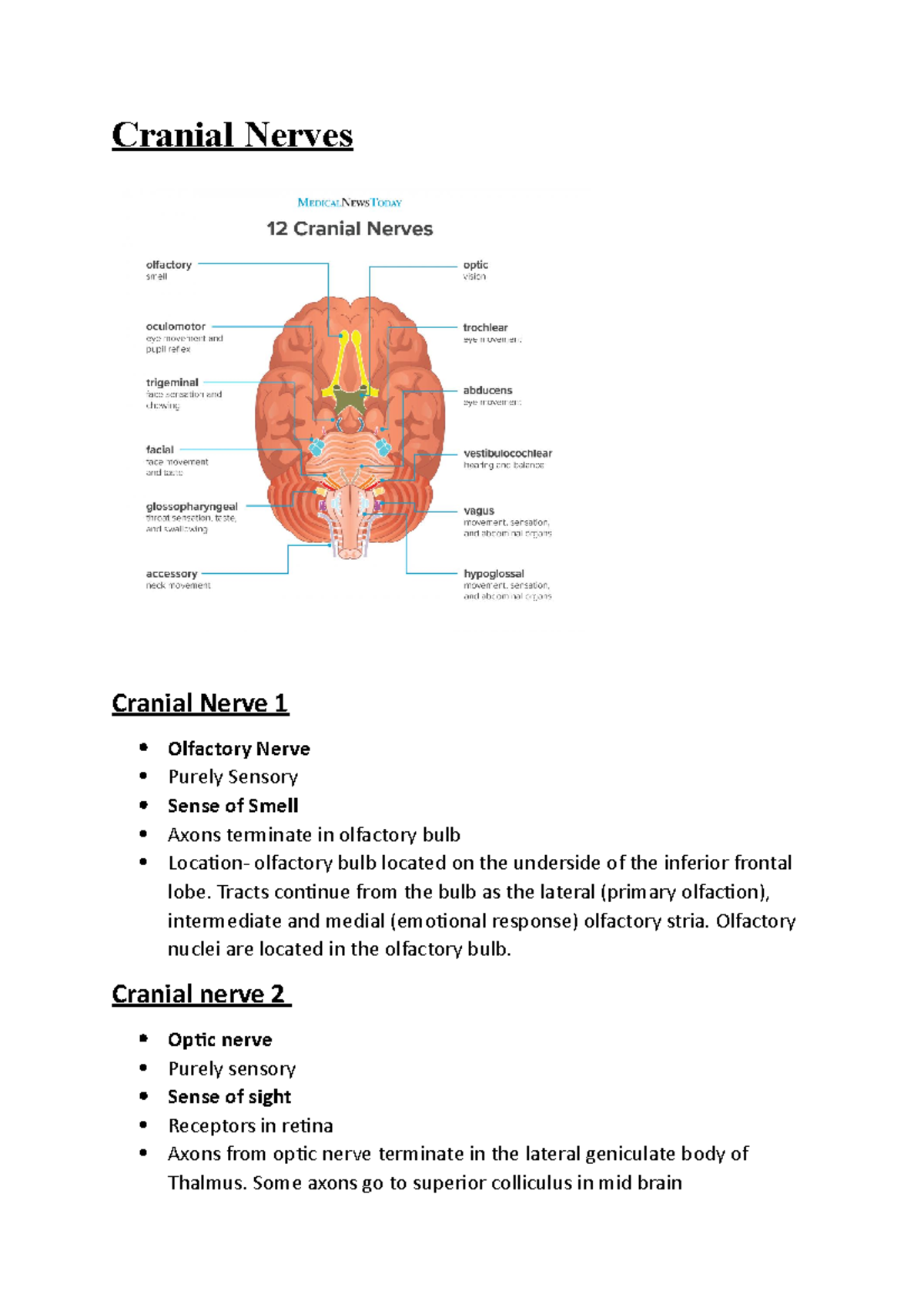 Cranial Nerves Notes - Cranial Nerves Cranial Nerve 1 Olfactory Nerve ...