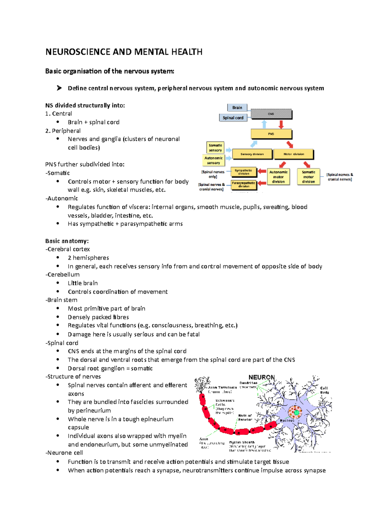 Year 1 - Neuroscience and Mental Health - NEUROSCIENCE AND MENTAL HEALTH Basic organisation of ...