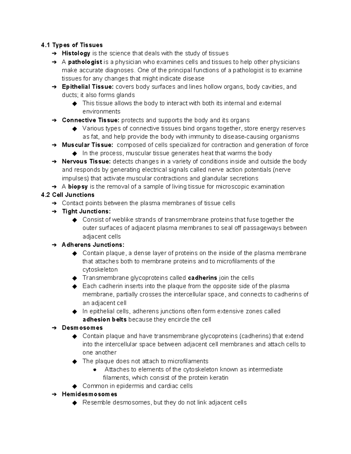 Chapter 4 The Tissue Level of Organization - 4 Types of Tissues ...