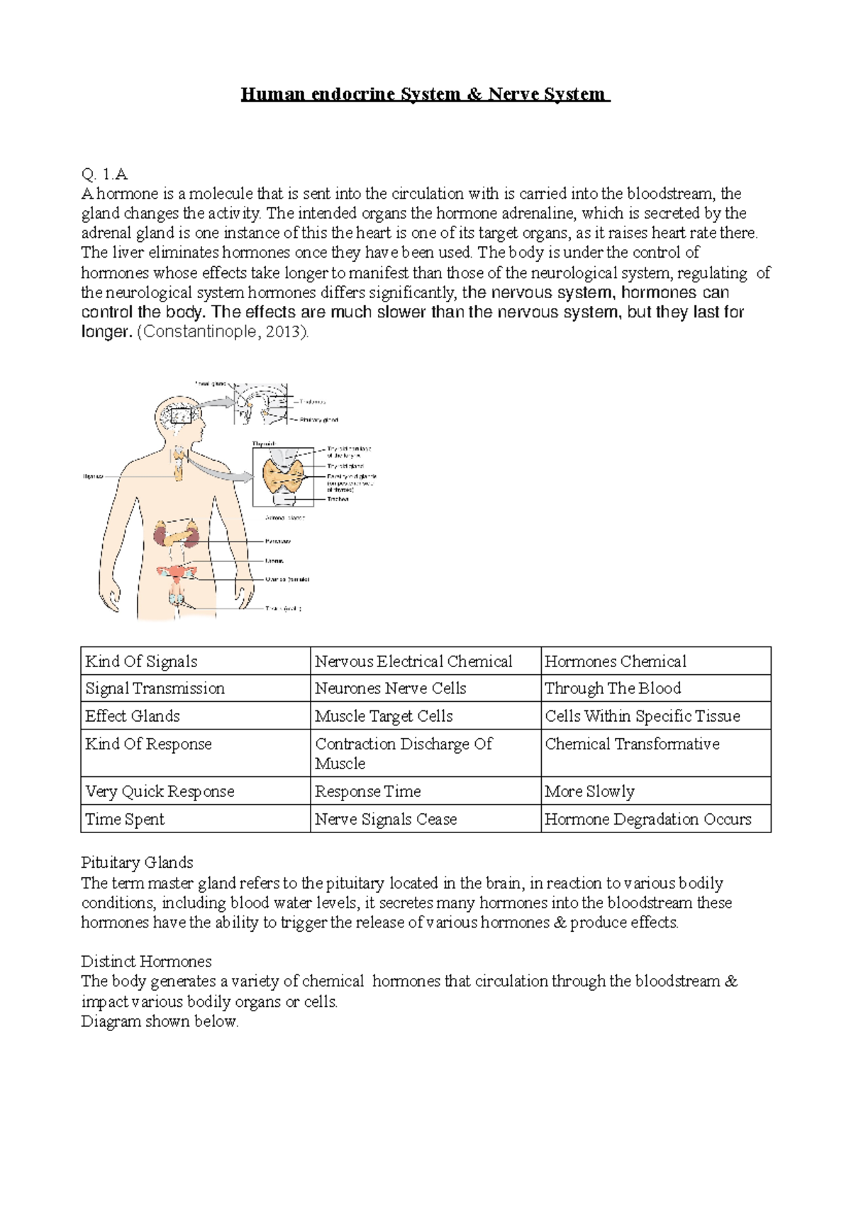 Unit 10 the Endocrine system - Human endocrine System & Nerve System Q ...