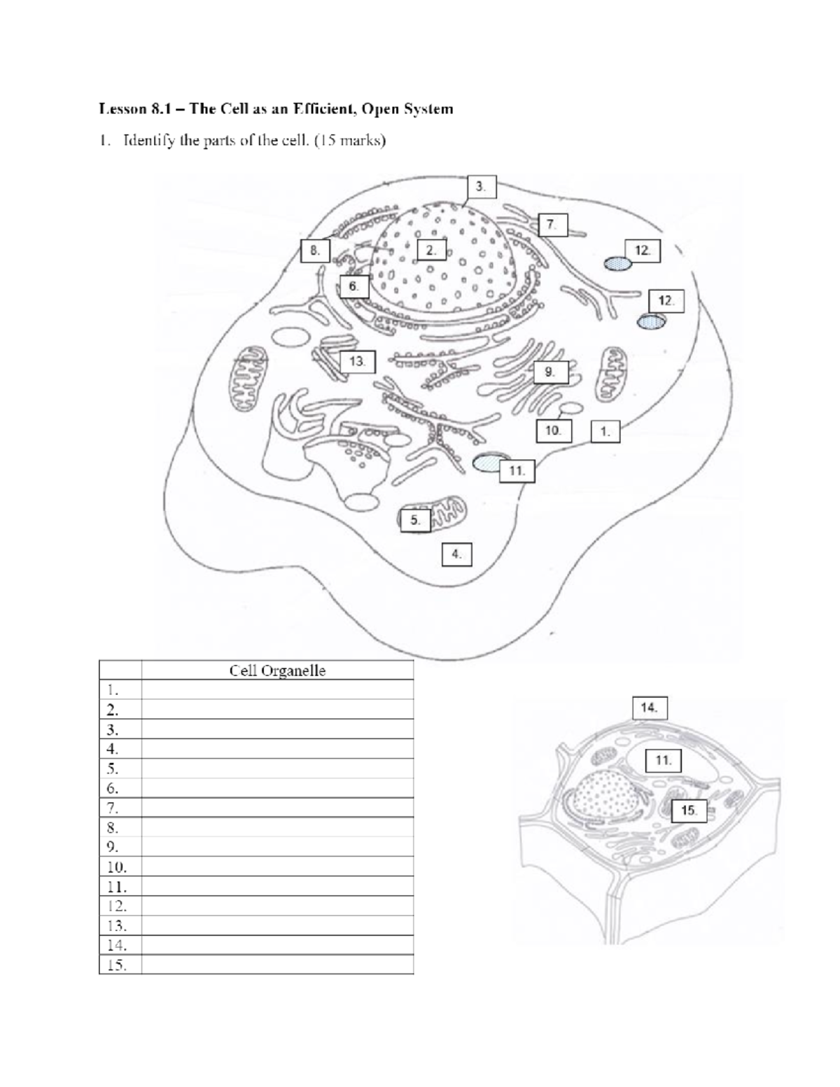 Cell Organelles - BIO 101 - Studocu