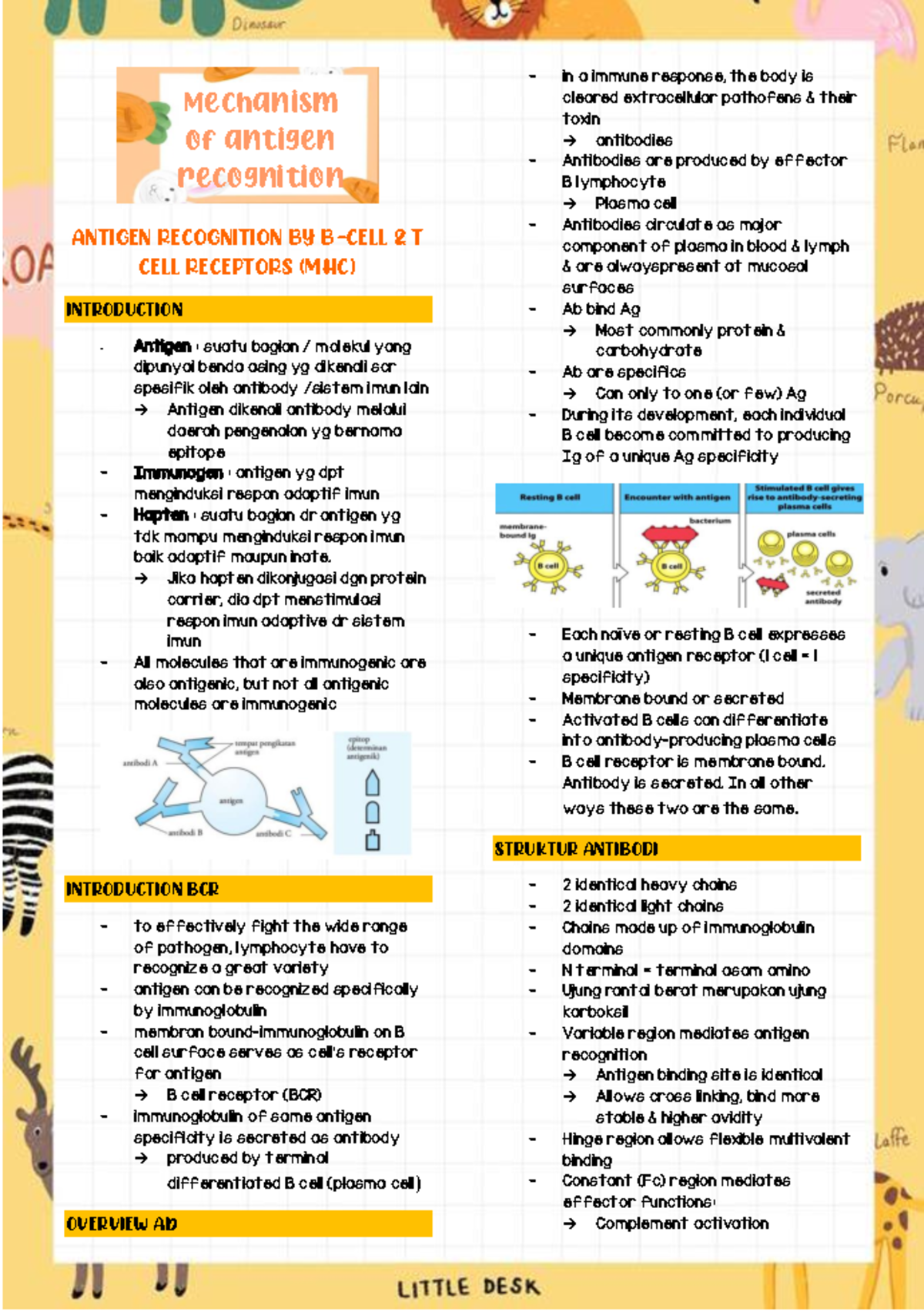 AMS 2 L14 Mechanism OF Antigen Recognition - ANTIGEN RECOGNITION BY B ...