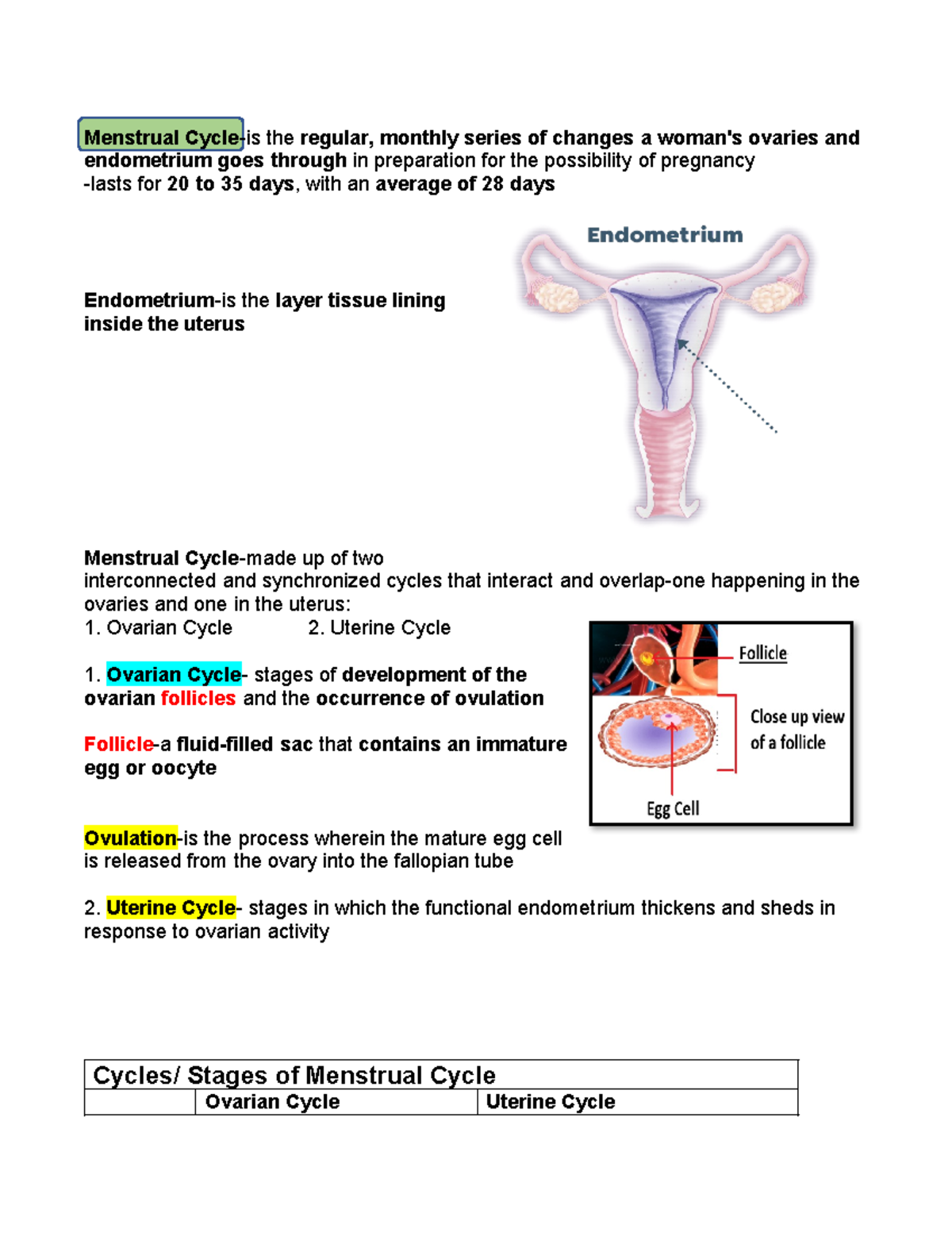 Menstrual Cycle hand out - Menstrual Cycle-is the regular, monthly ...