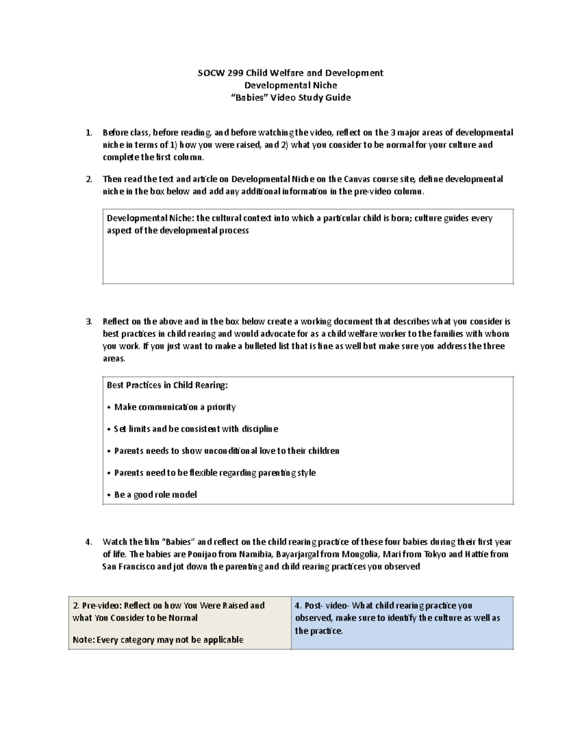 Child Welfare and Development Developmental Niche Video Study Guide ...