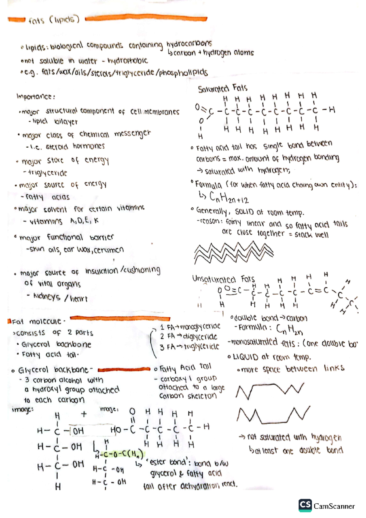 Biochemistry- Fats (Lipids) Notes - CamScanner - Studocu