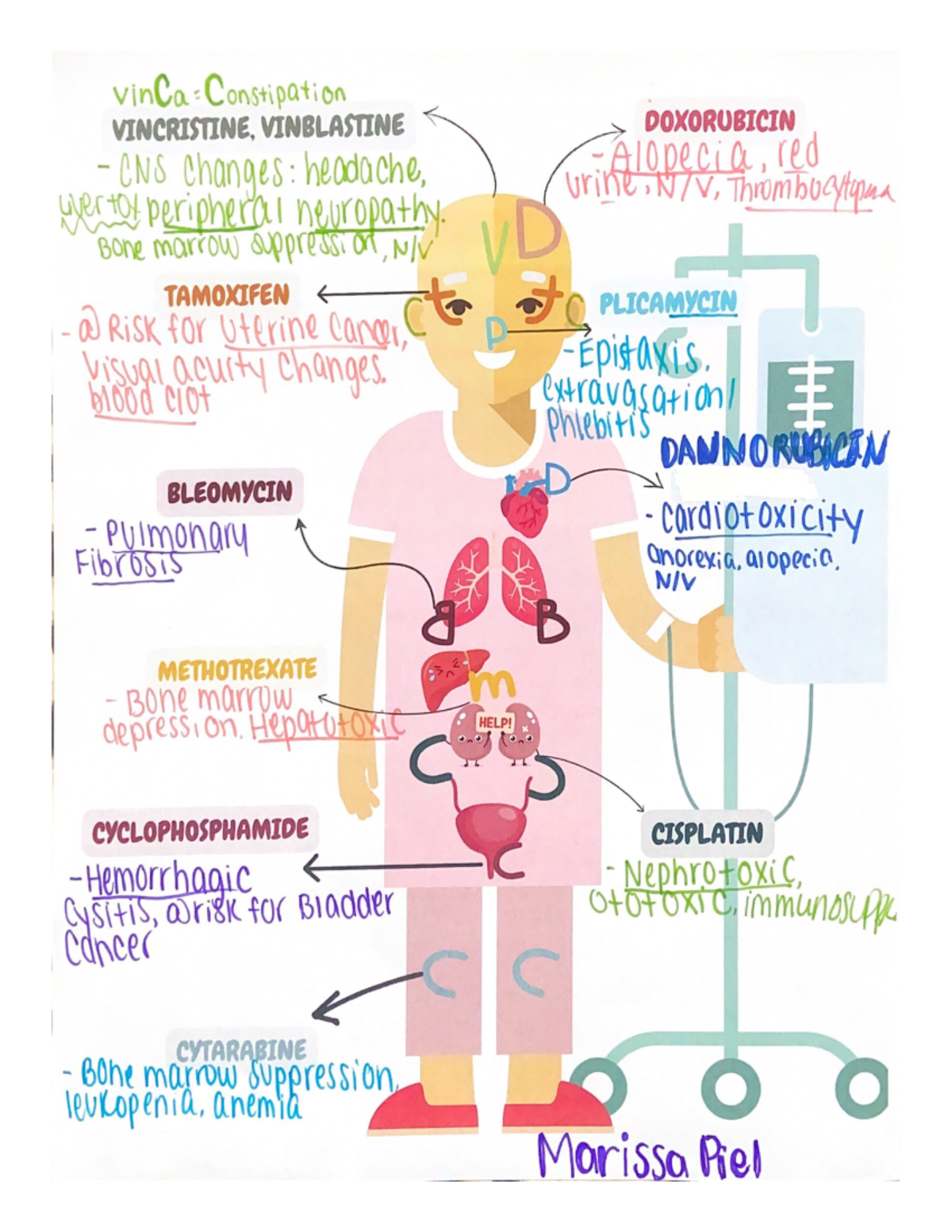 Chemo-mannnnnnn - NURS201 - Studocu