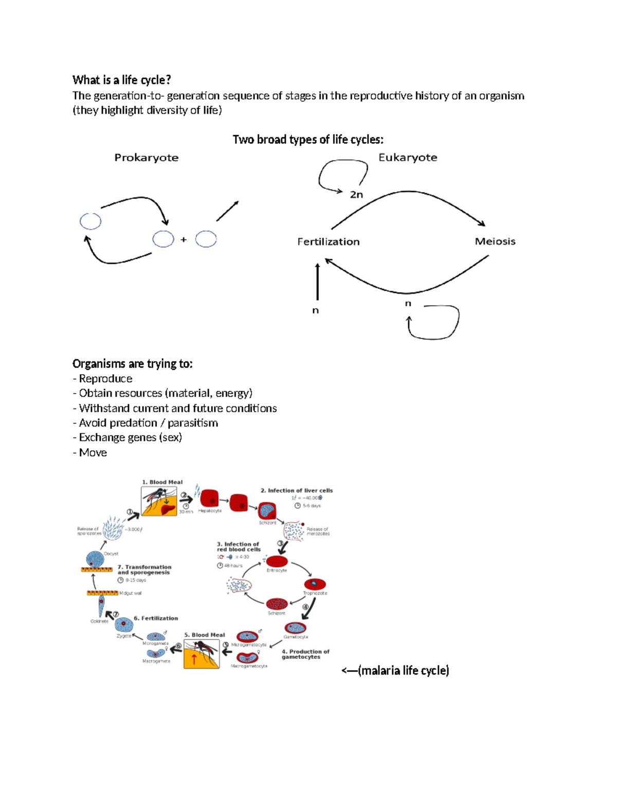 Population biol 226 - first week notes - What is a life cycle? The ...