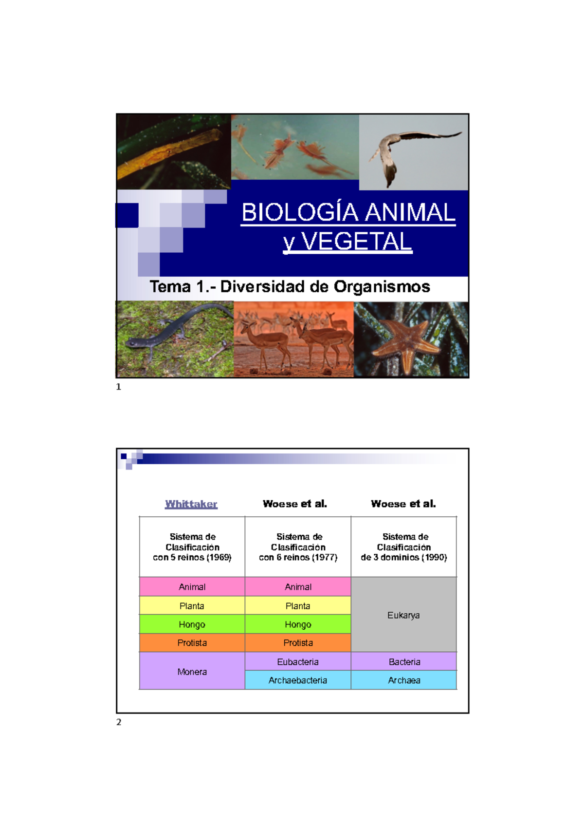 Tema 1 - BIOLOGÍA ANIMAL y VEGETAL Tema 1.- Diversidad de Organismos 1 ...