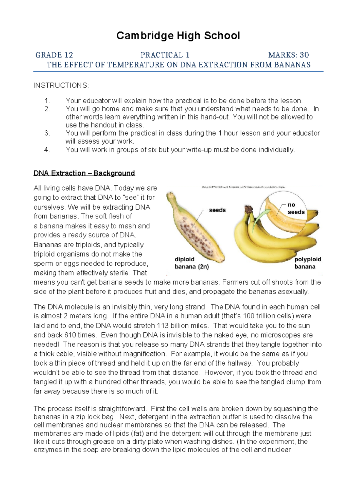 Dna Extraction Vs Temperature Practical 2019 1 Cambridge High