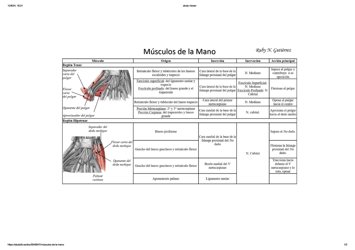 Músculos de la Mano - Gutiérrez Músculo Origen Inserción Inervación ...