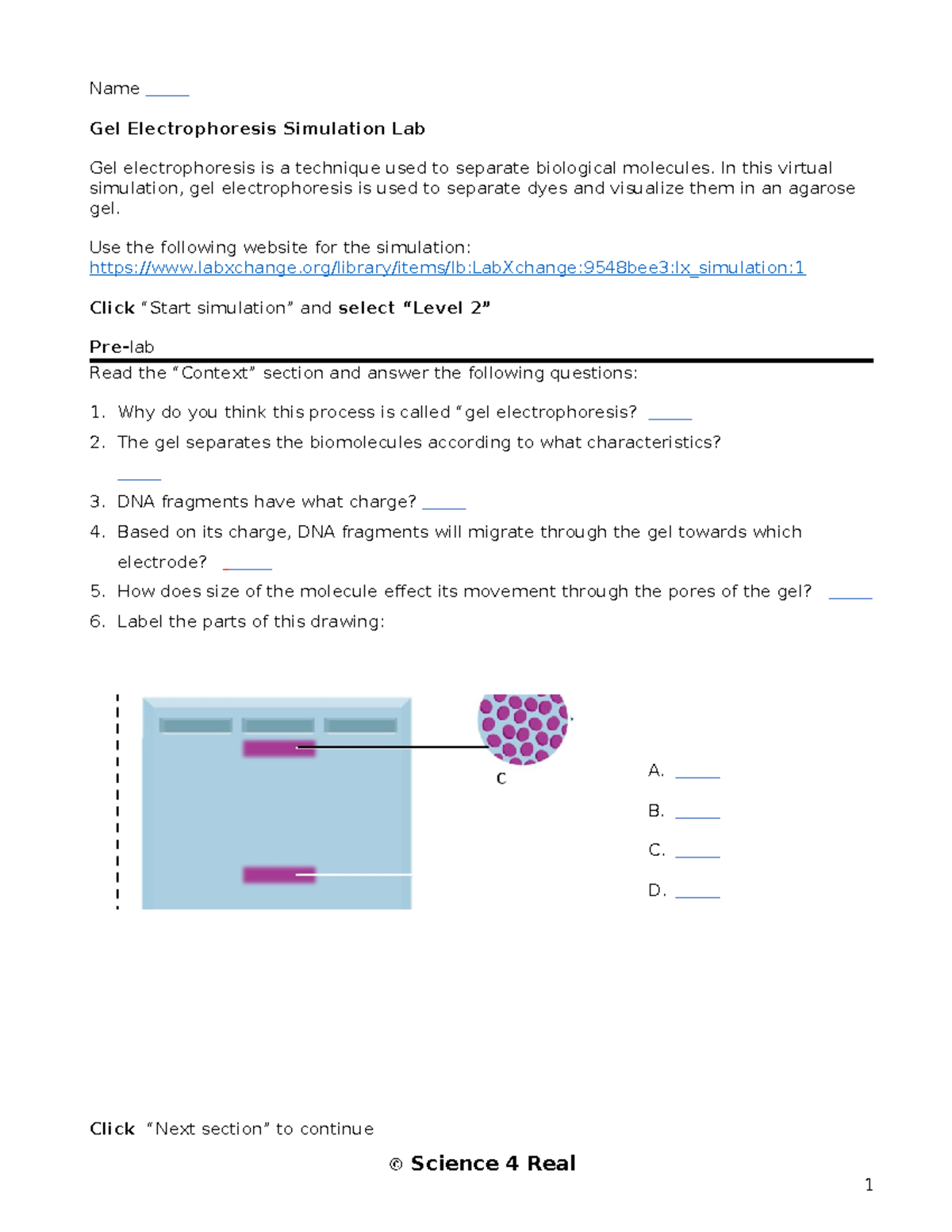 Gel Electrophoresis Virtual Lab Digital Form Fields - Name Gel ...