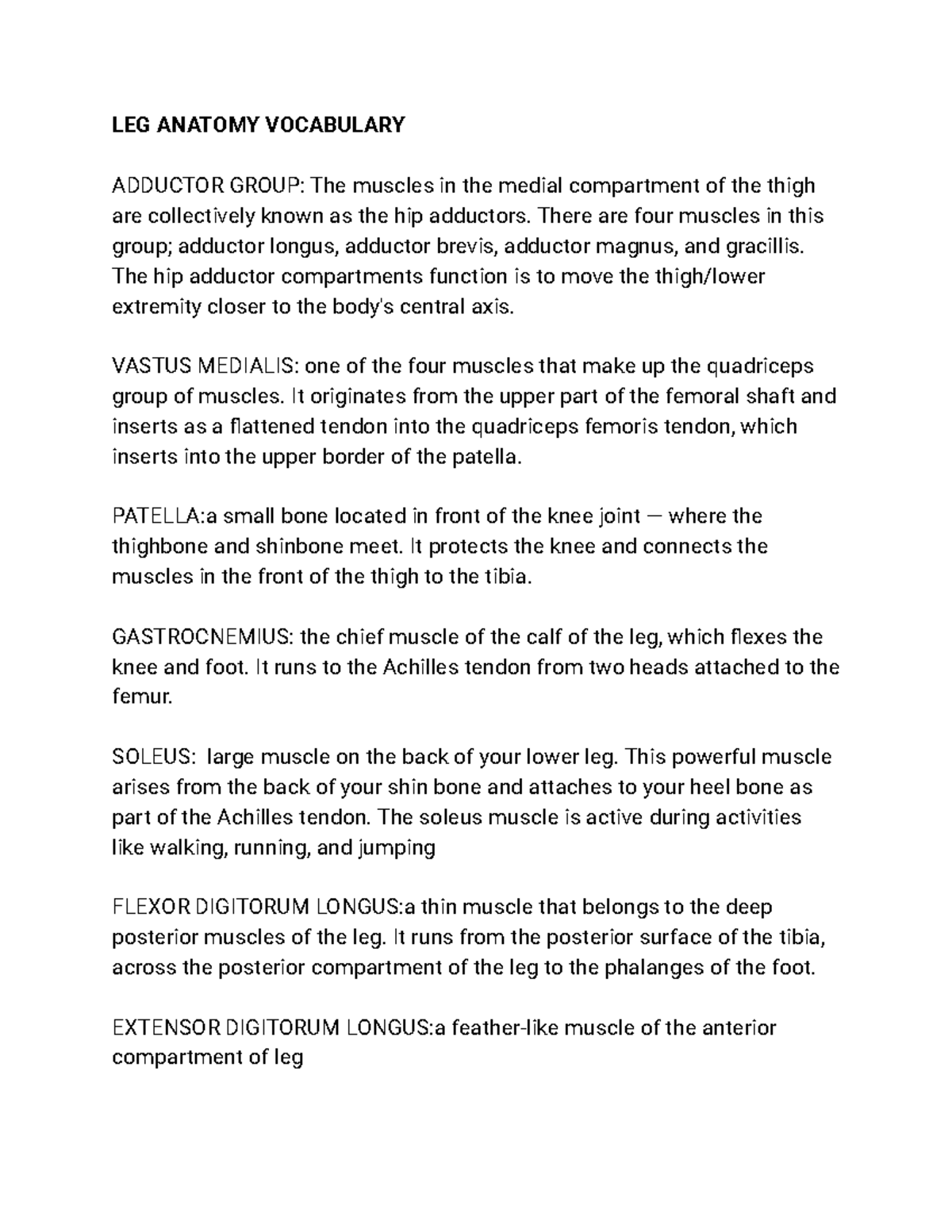 LEG Anatomy Vocabulary - LEG ANATOMY VOCABULARY ADDUCTOR GROUP: The ...