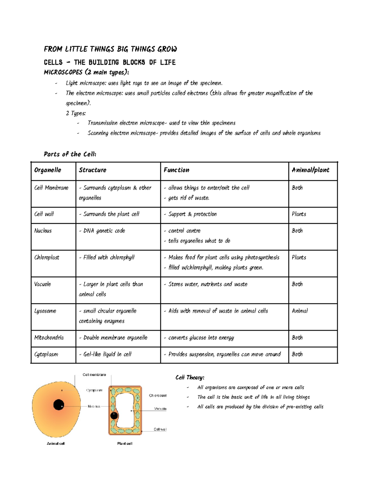 Science Yearly Examination - FROM LITTLE THINGS BIG THINGS GROW CELLS → ...