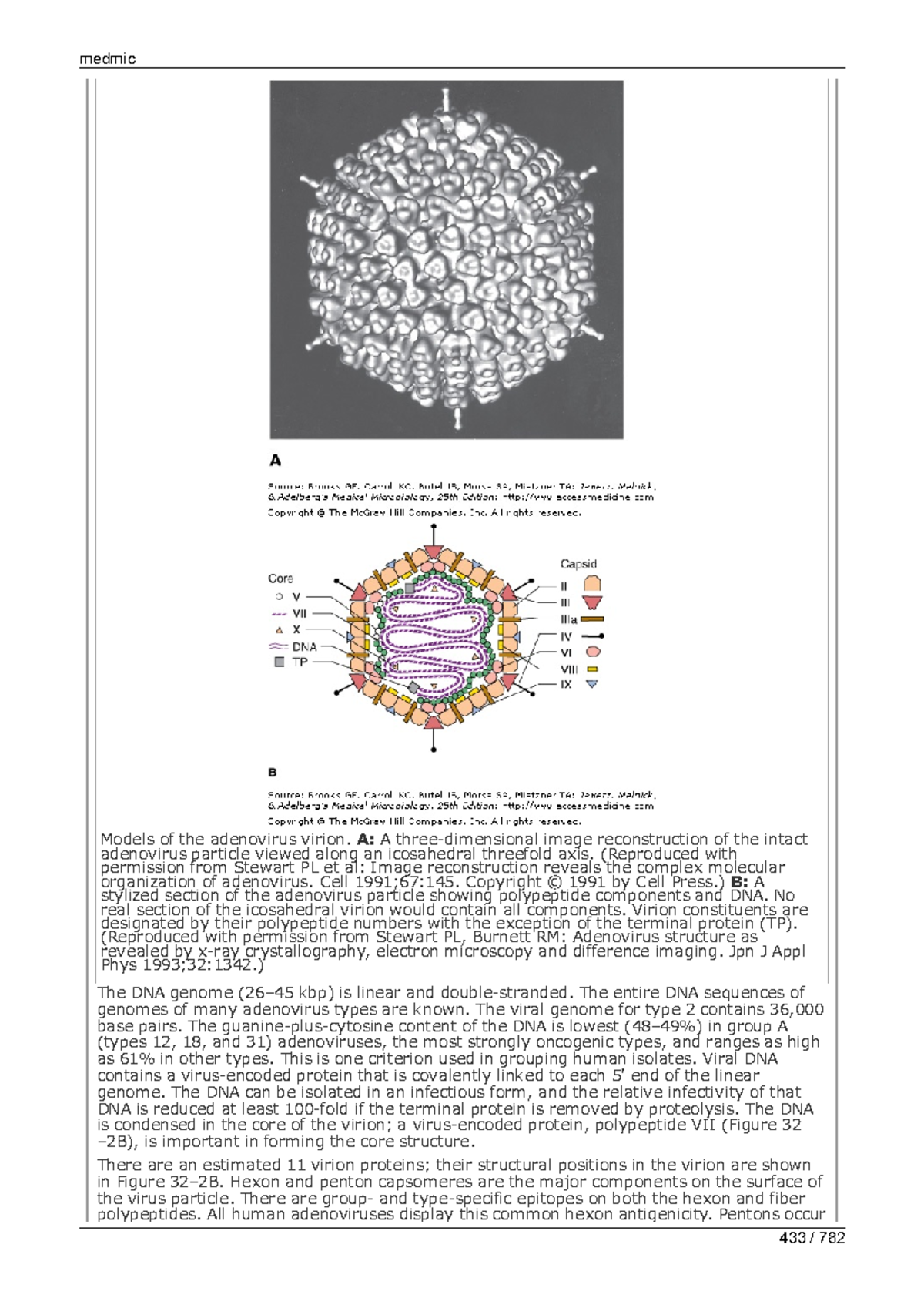 Jawetz s Medical Microbiology Twenty Fifth Edition Lange Basic Science -401-500-35 - Models of ...