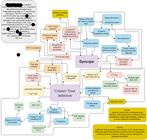Rule of Nines Worksheet - Using the Rule of Nines, calculate the total ...