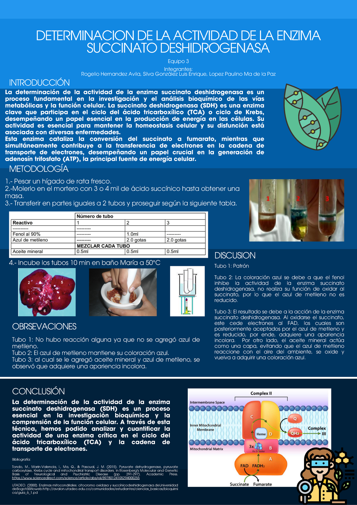 Cartel deminario - 1.- Pesar un hígado de rata fresco. 2.-Molerlo en el ...