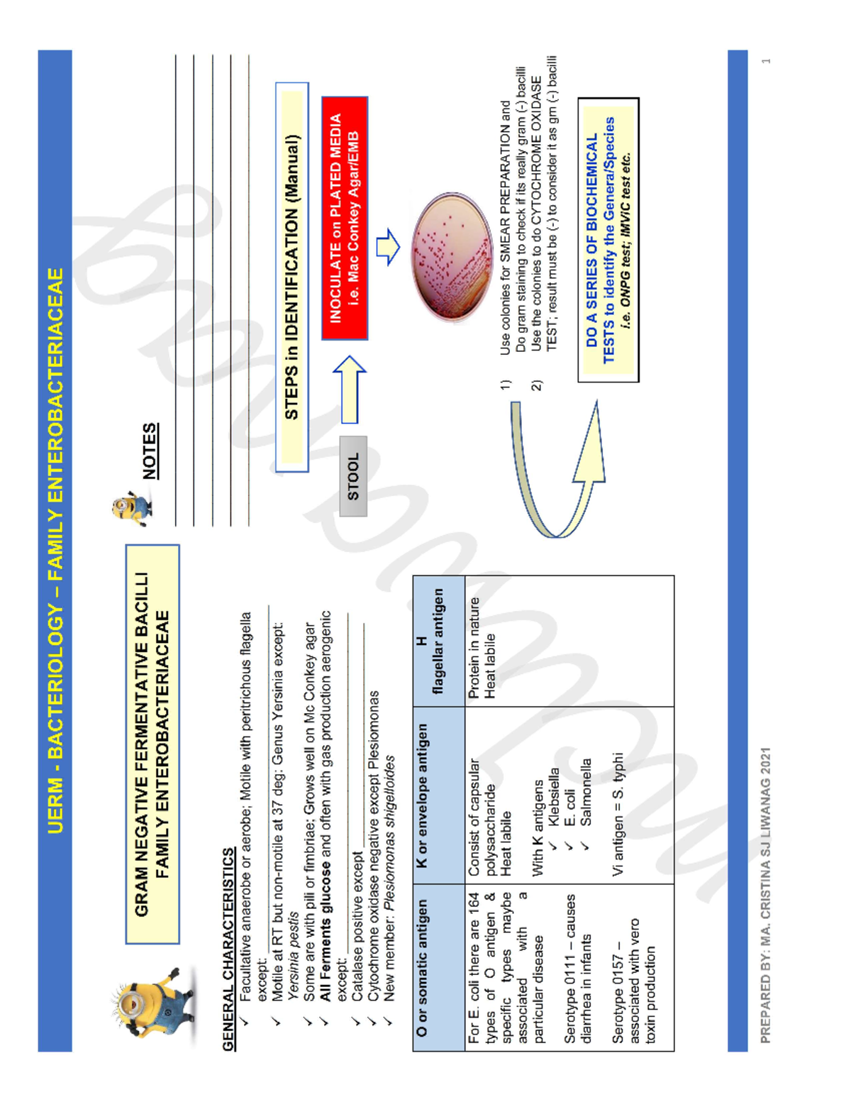 Lecture- Notes-2 - Medical Laboratory ScienceMedical Laboratory ...