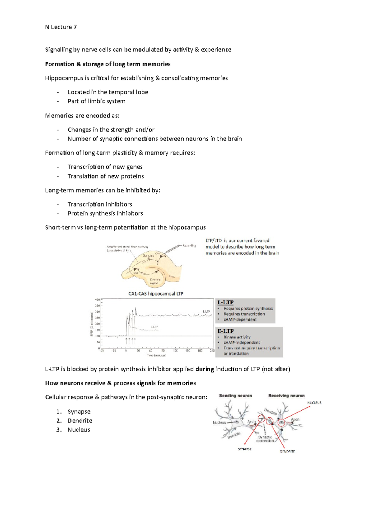N Lecture 7 - N Lecture 7 Signalling nerve cells can be modulated ...