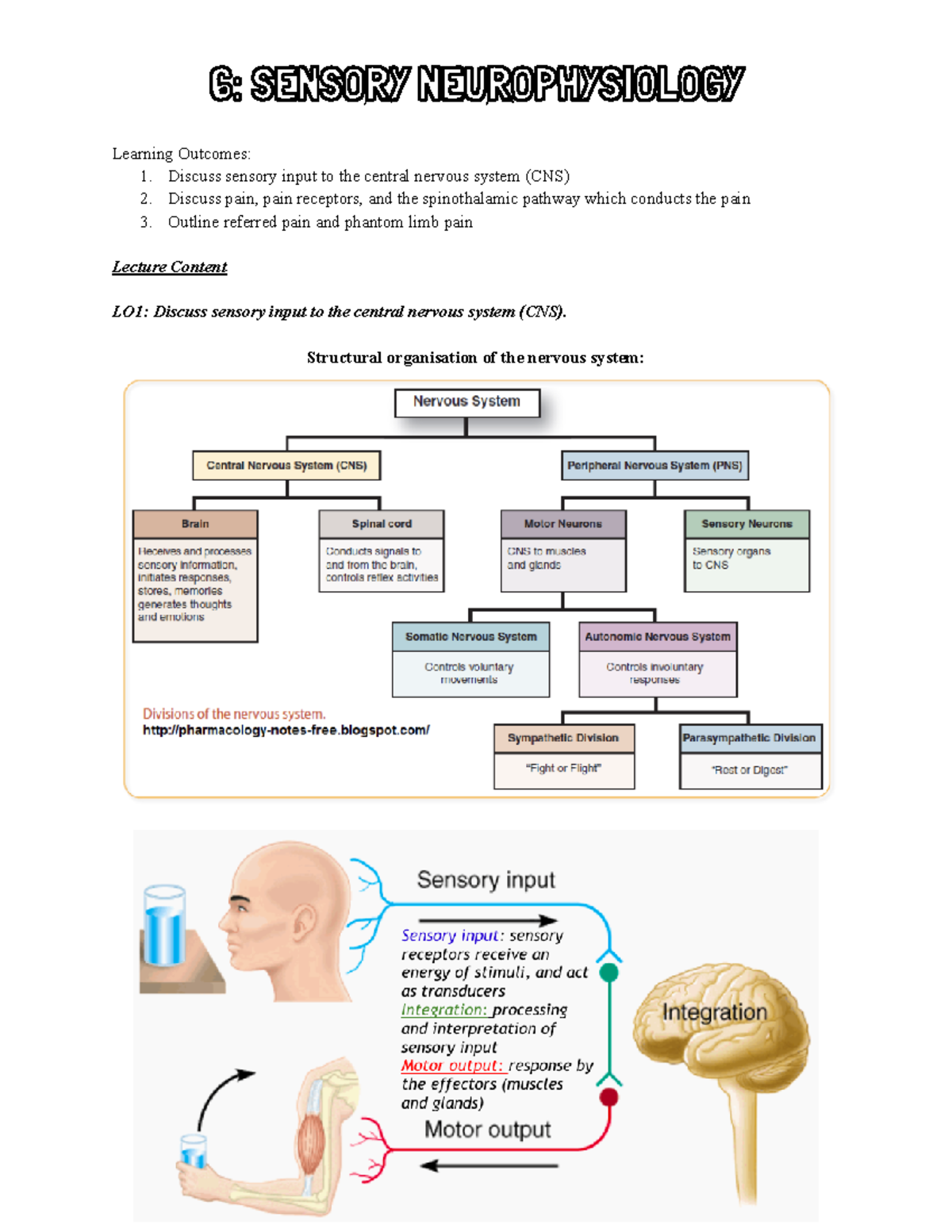 6 Sensory Neurophysiology - HAP2 - 6: SENSORY NEUROPHYSIOLOGY Learning ...