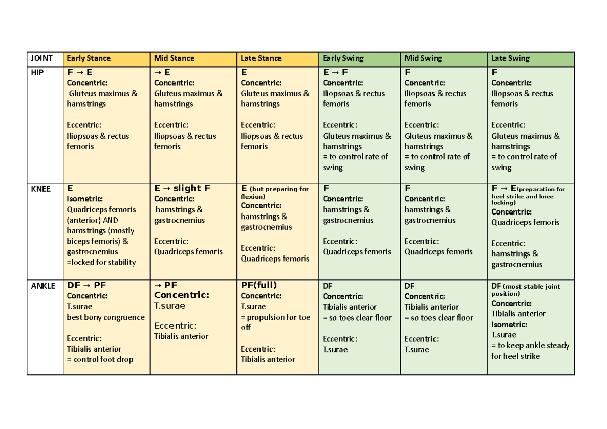 The Gait Cycle Summary - JOINT Early Stance Mid Stance Late Stance ...