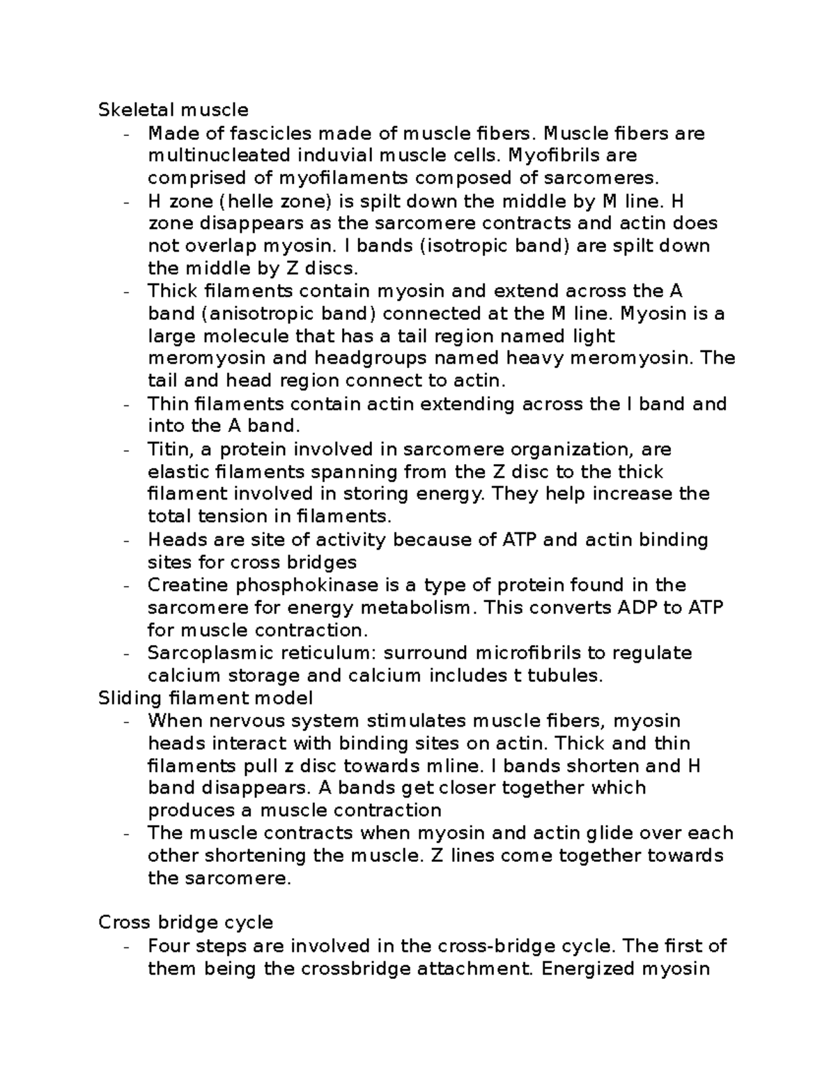 Physio notes - Skeletal muscle - Made of fascicles made of muscle ...