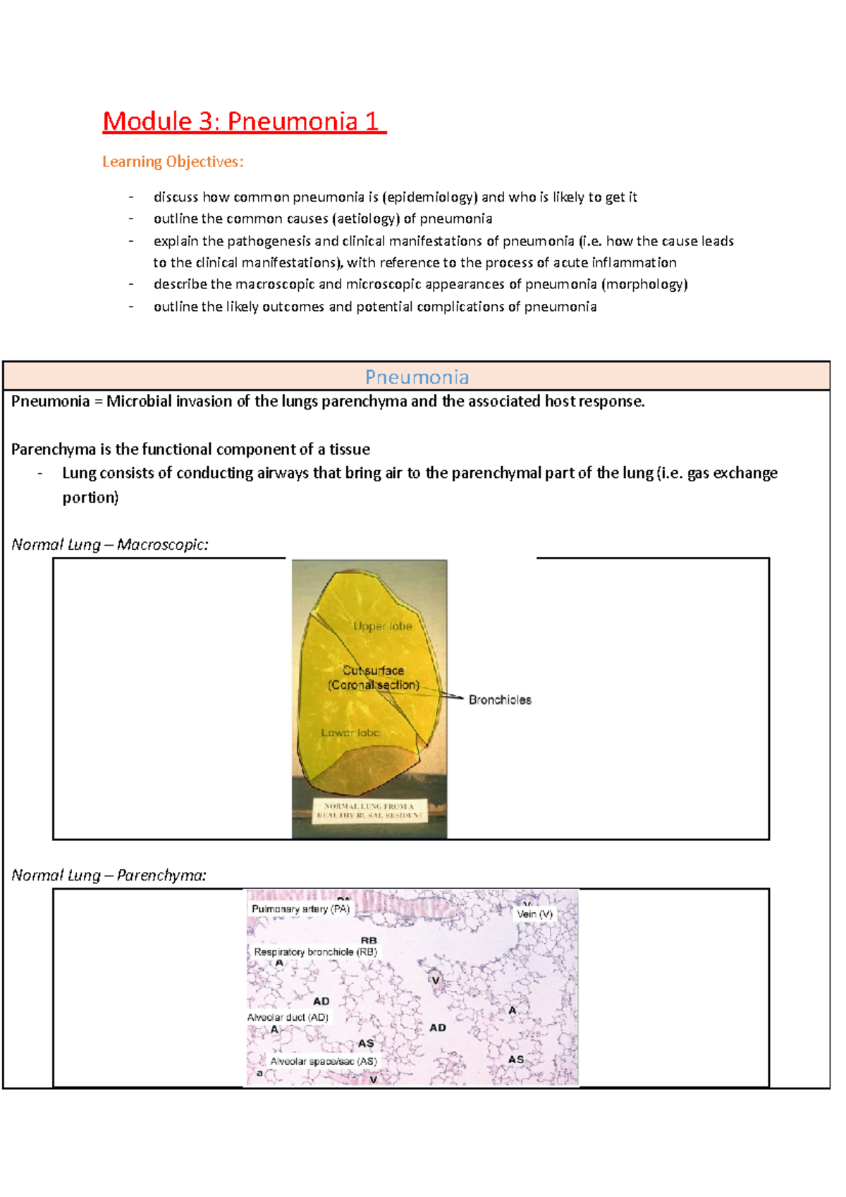 Module 3 - PNEUMONIA - Module 3: Pneumonia 1 Learning Objectives ...