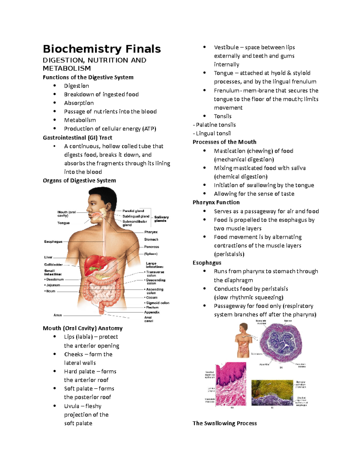 Biochemistry Reviewer Finals - Biochemistry Finals DIGESTION, NUTRITION ...