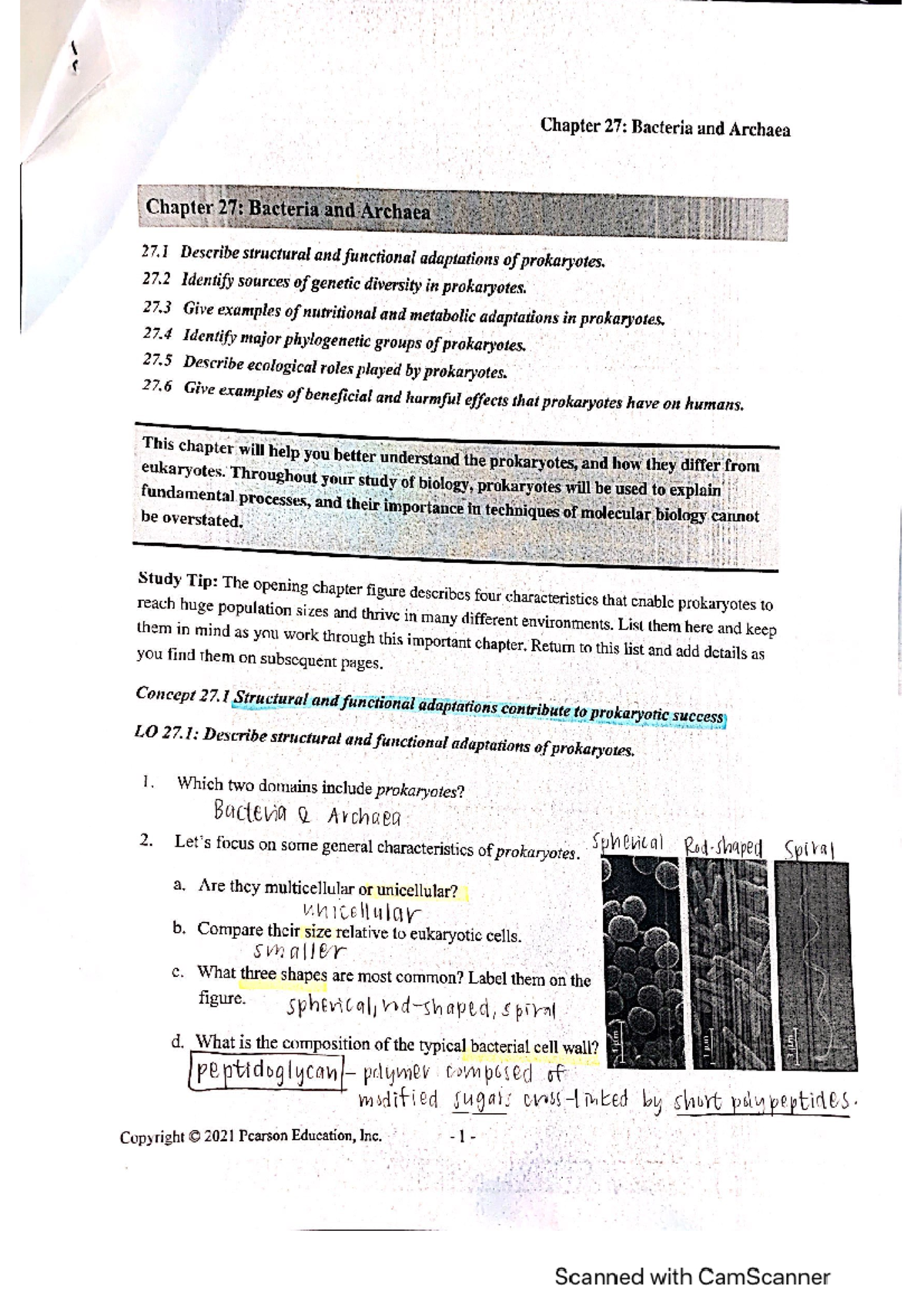 Chapt 27 reading guide - Bacteria and archae - BIOL_SCI 201 - Studocu