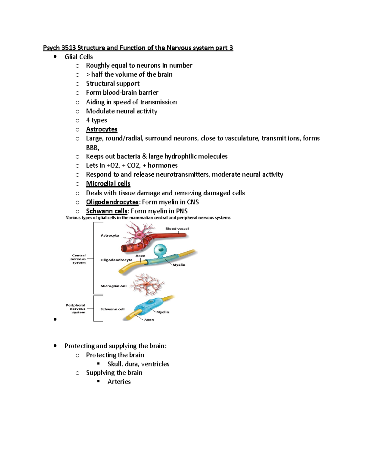 Psych 3513 Structure and Function of the Nervous system part 3 - stroke ...