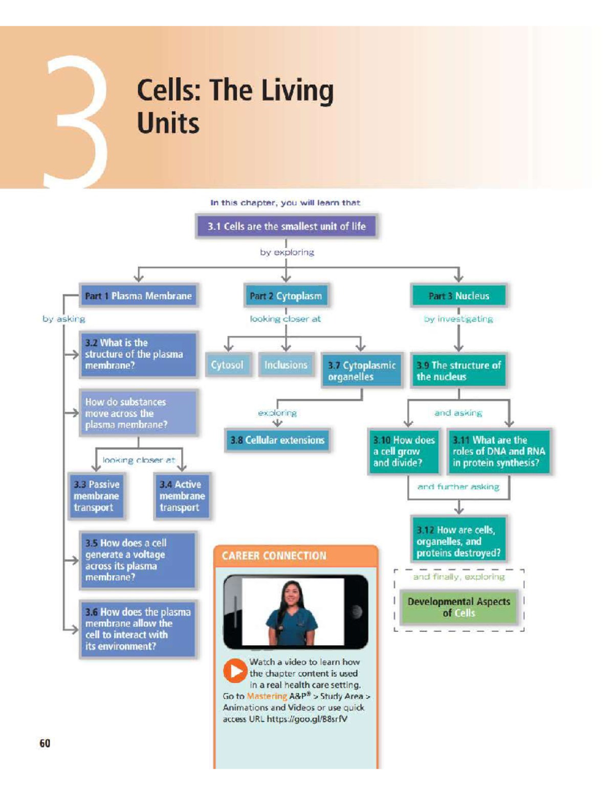 Chapter 3 - BIOS130 - Studocu
