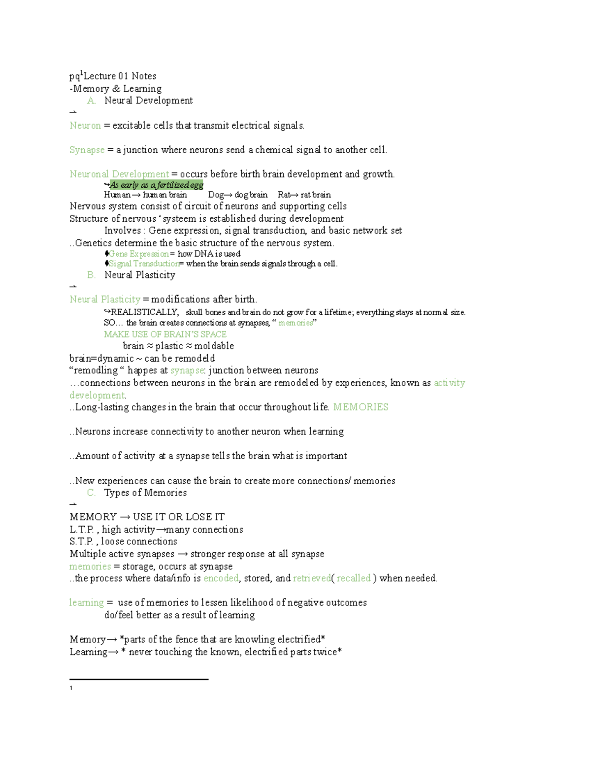 Untitled document - Exam 1 Notes - pq 1 Lecture 01 Notes -Memory ...