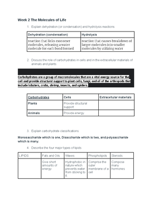Report Selective Plating - Cinar Sumer’s section Selective Plating on ...