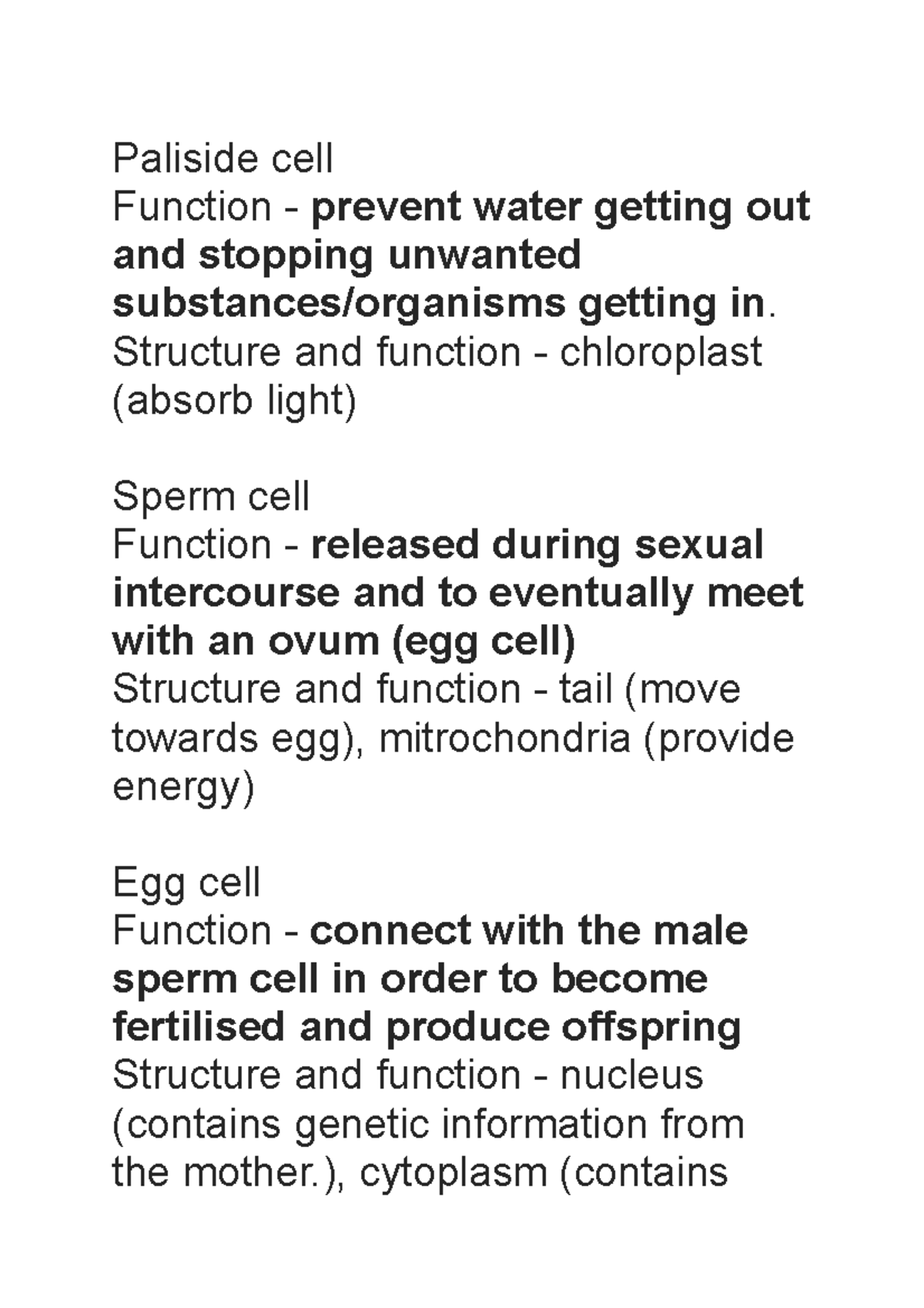 Specialised Cells - Paliside cell Function - prevent water getting out ...