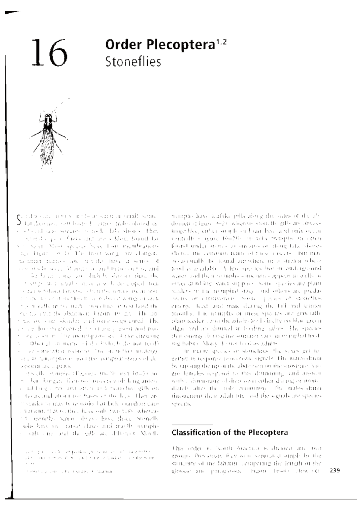 Plecoptera - Summary An Introduction to the Study of Insects - 16 Order ...