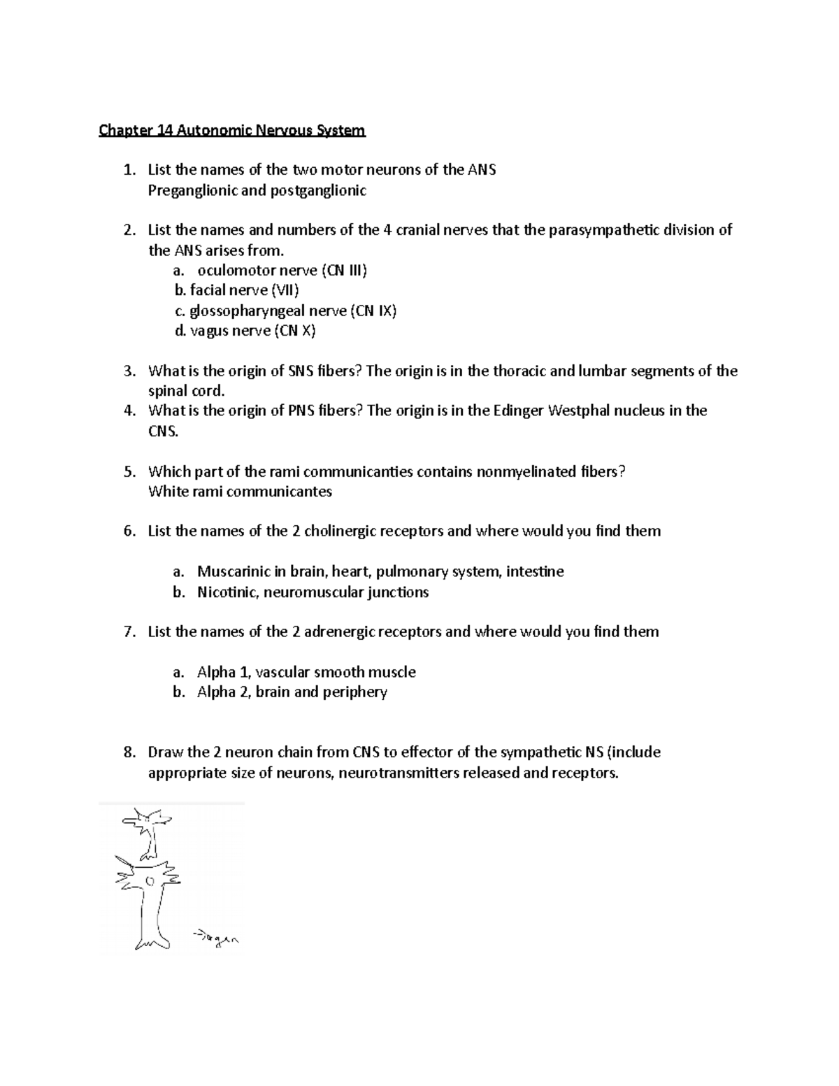 ANS worksheet - n/a - Chapter 14 Autonomic Nervous System List the ...