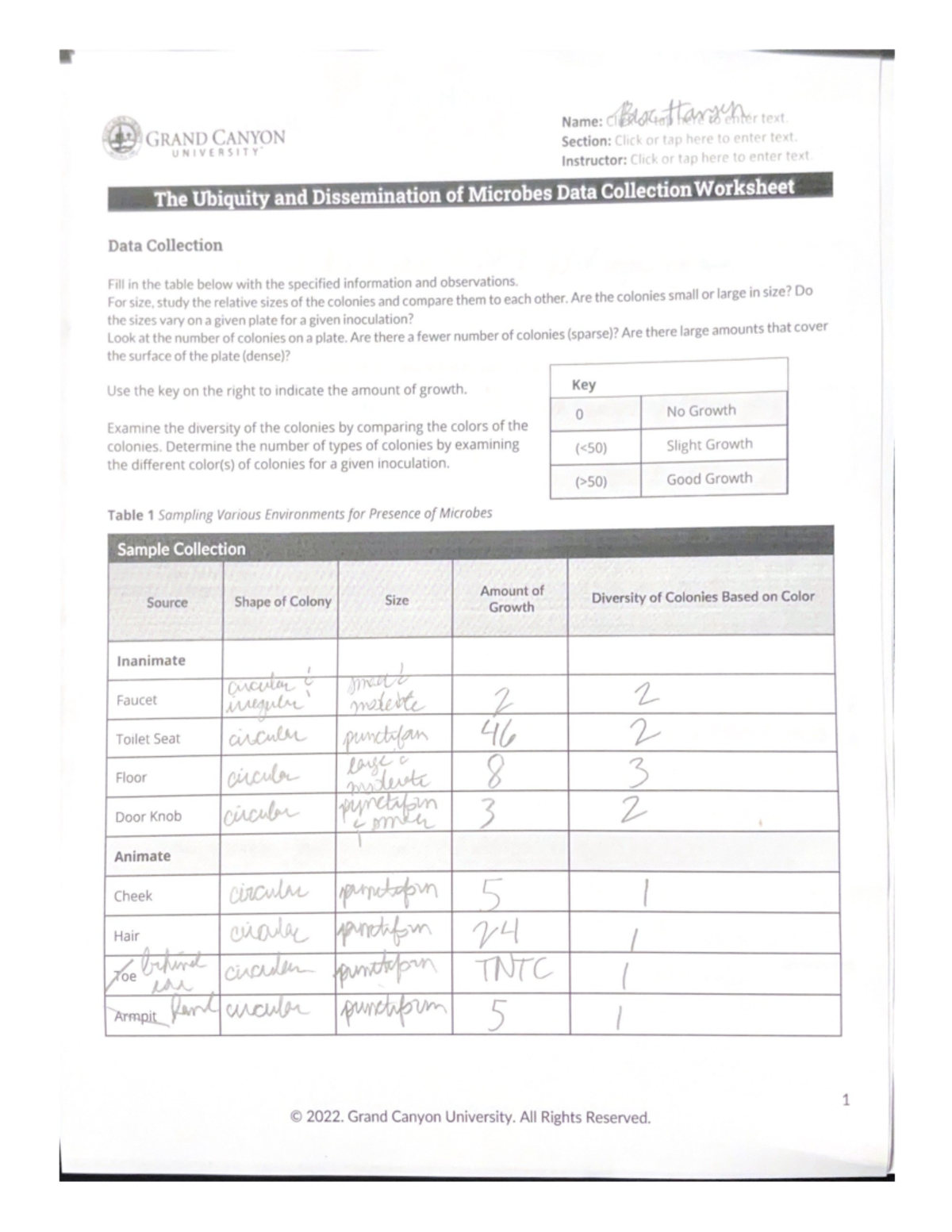 MB Lab 1 - BIO-205L - Studocu