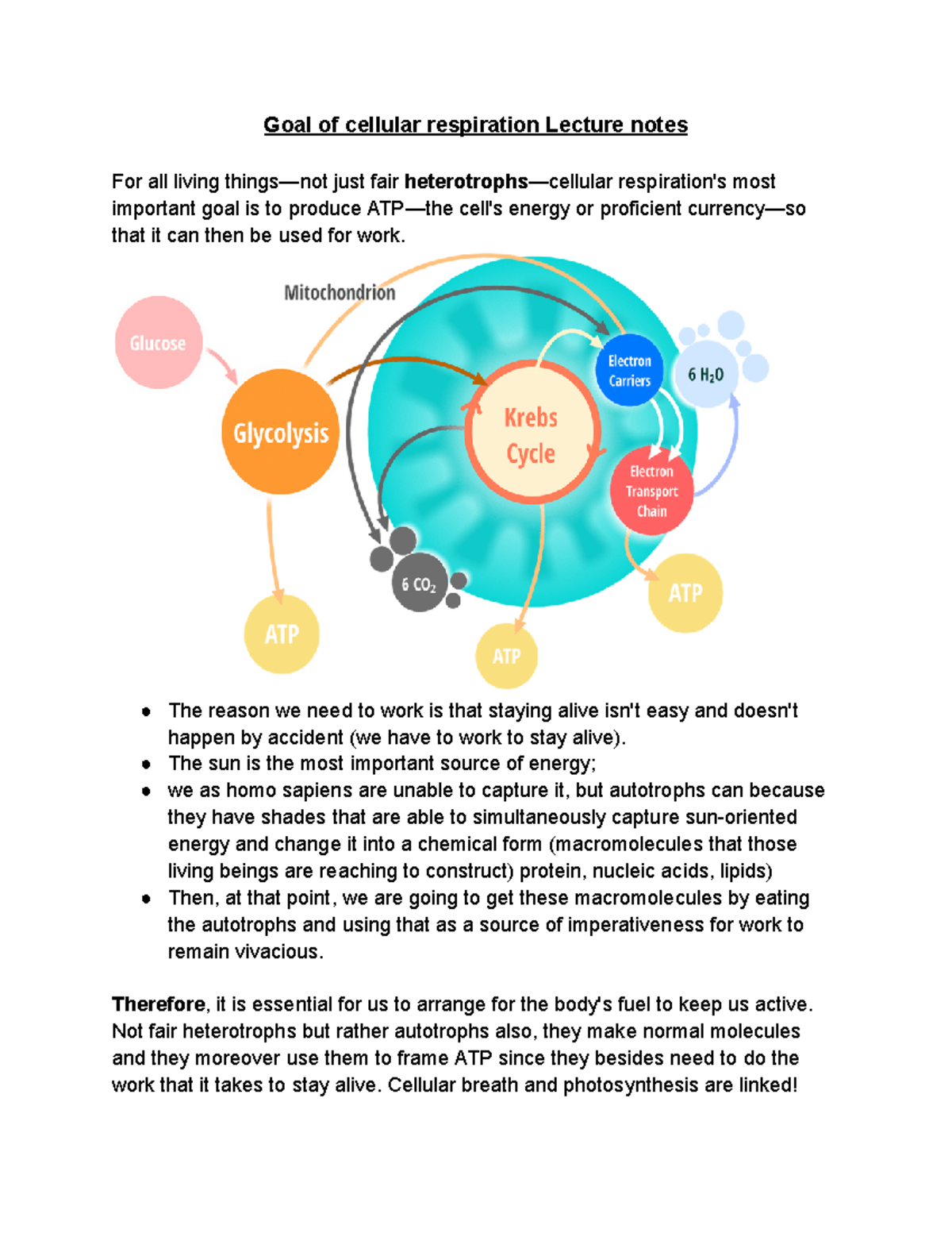 Goal of cellular respiration Lecture notes - The reason we need to work ...