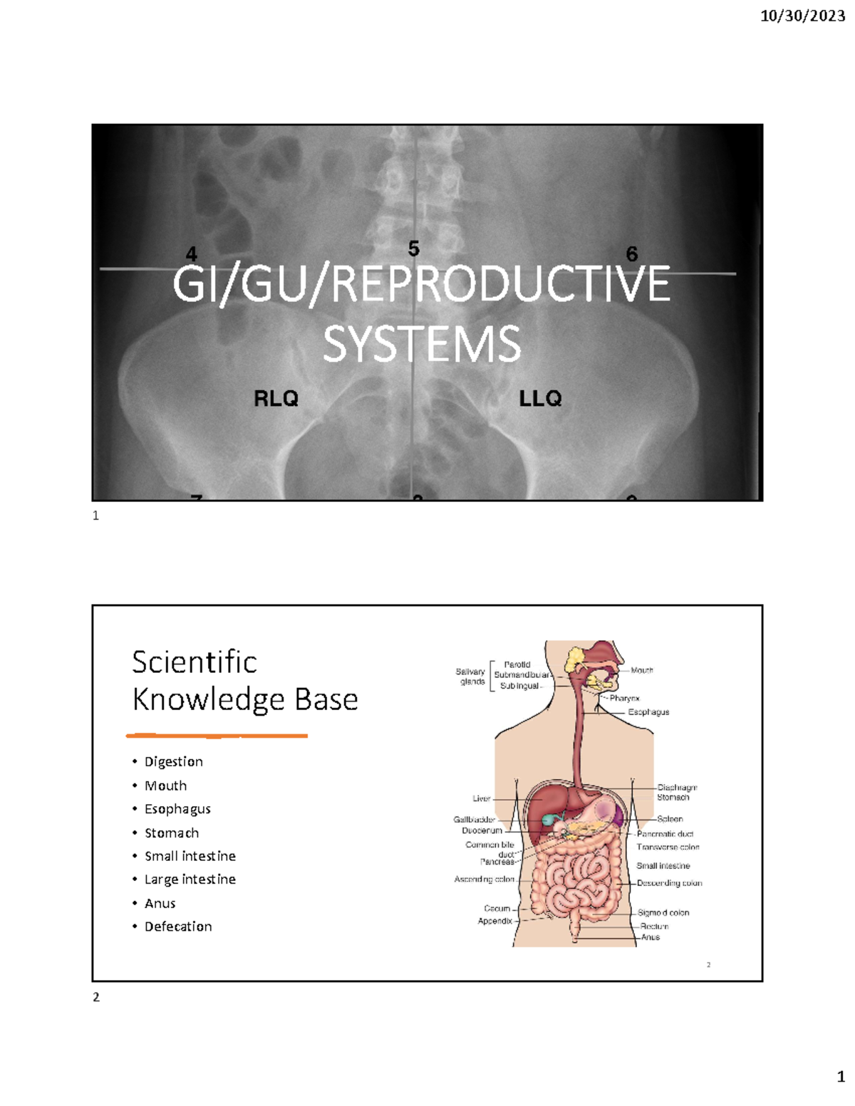 WEEK 9 - GI GU Reproduction - GI/GU/REPRODUCTIVE SYSTEMS Scientific ...
